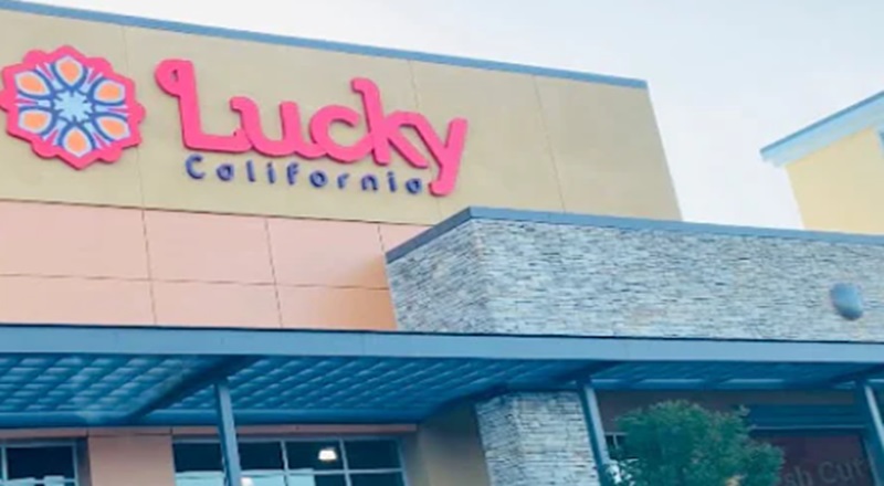California bill could slash self-checkouts, aims to boost security California bill could slash self-checkouts, aims to boost security