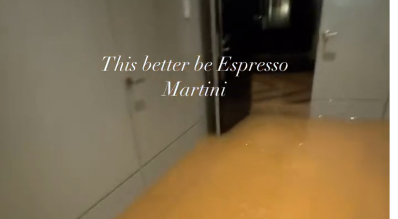 Drake shares video of his flooded house